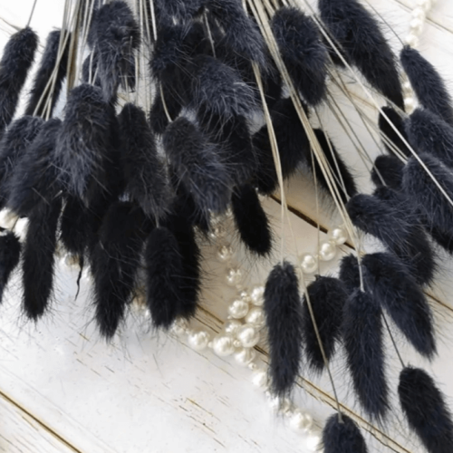 55 Stems Dried Black Natural Bunny Tail Grass - Dynamic Crafts